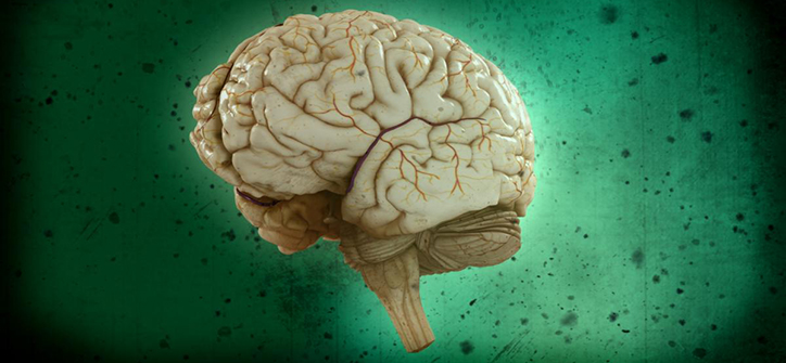 Mentale Weerbaarheid Ontwikkelen